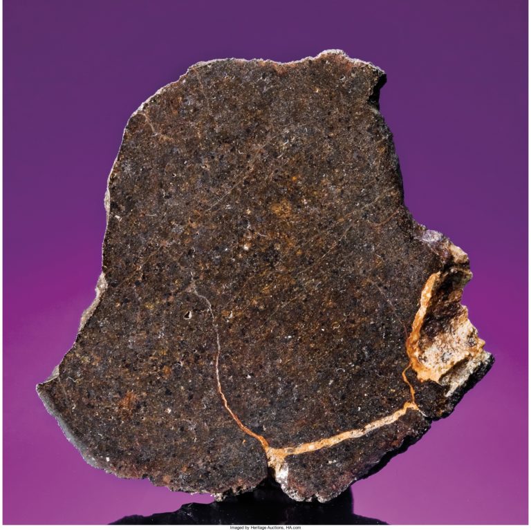 Nature & Science – The Intelligent Collector Magazine | Blog