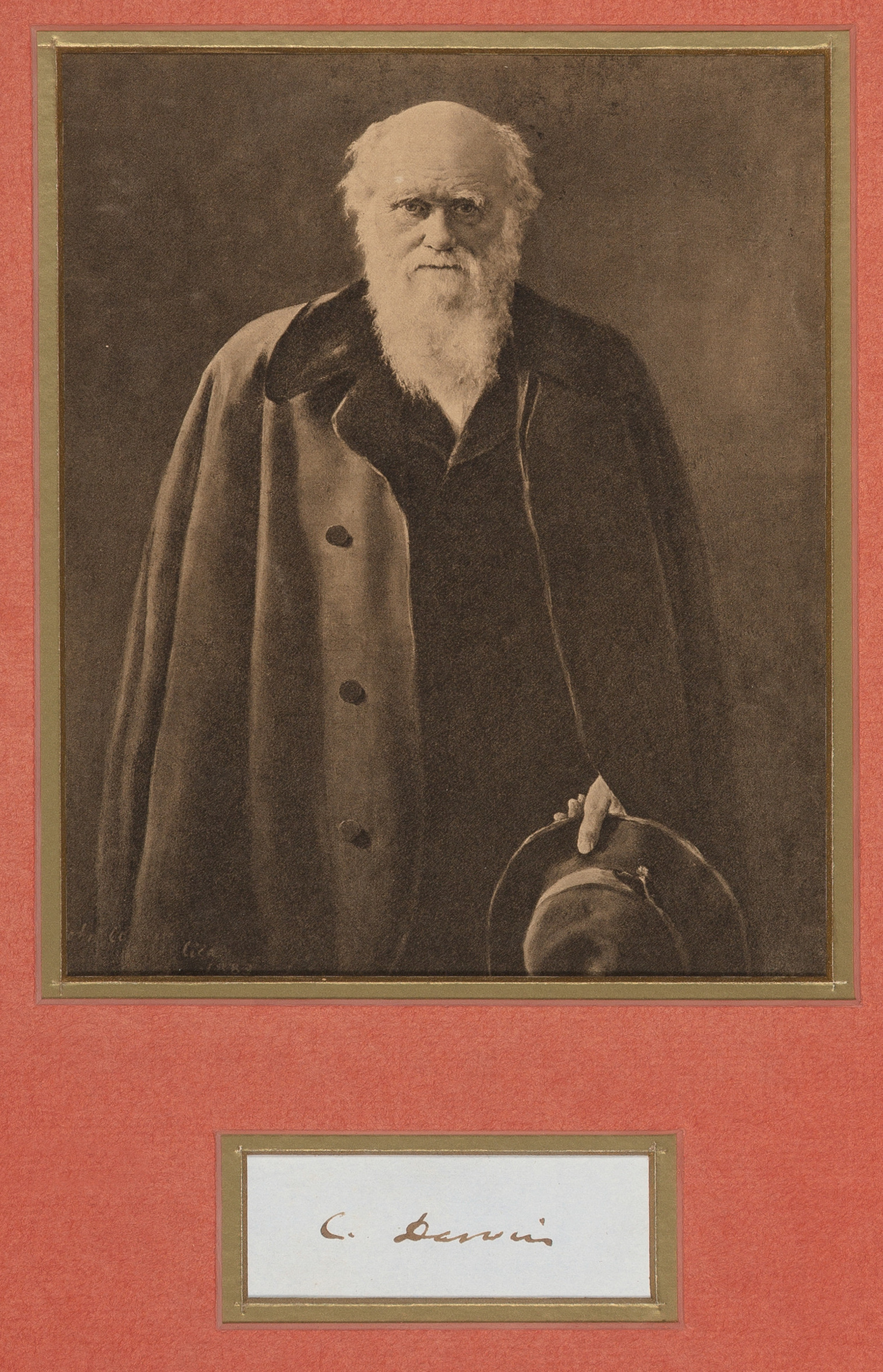 Charles Darwin – The Intelligent Collector Magazine | Blog